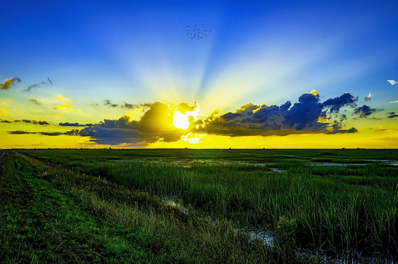 Florida Everglades Sunset - Etsy