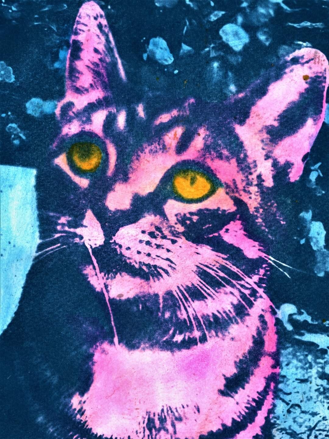 Tabby Cat 8x10 Cyanotype Watercolor Pop Art Photo Print by Atomic ...