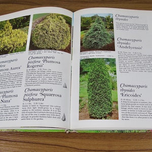 Vintage Book Conifers for Your Garden Book - Etsy UK