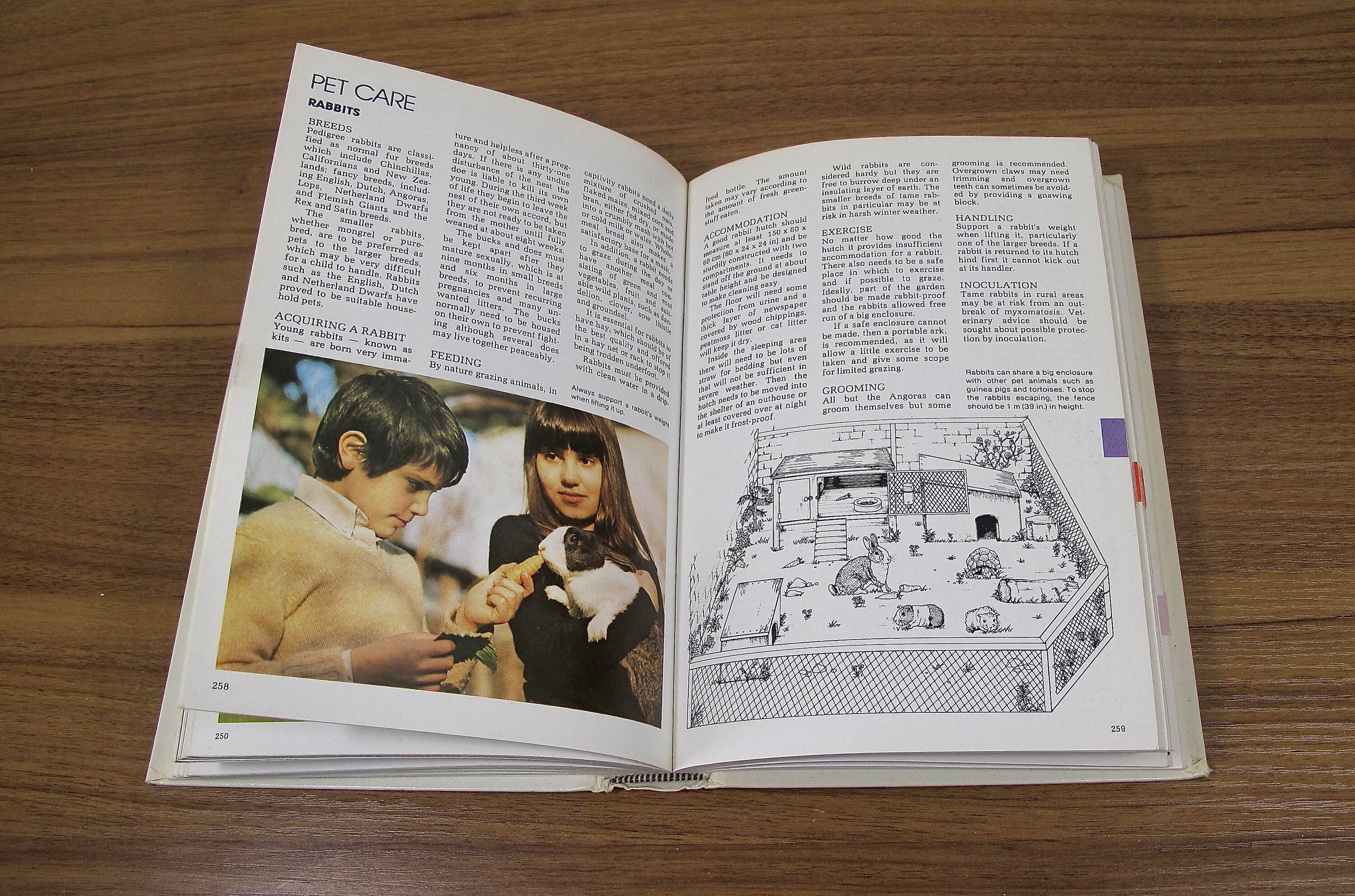 Vintage Dairy Book Home Management Book Retro Boho Display | Etsy