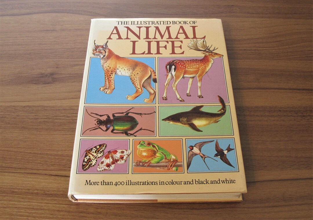 Vintage Illustrated Book of Animal Life - Etsy
