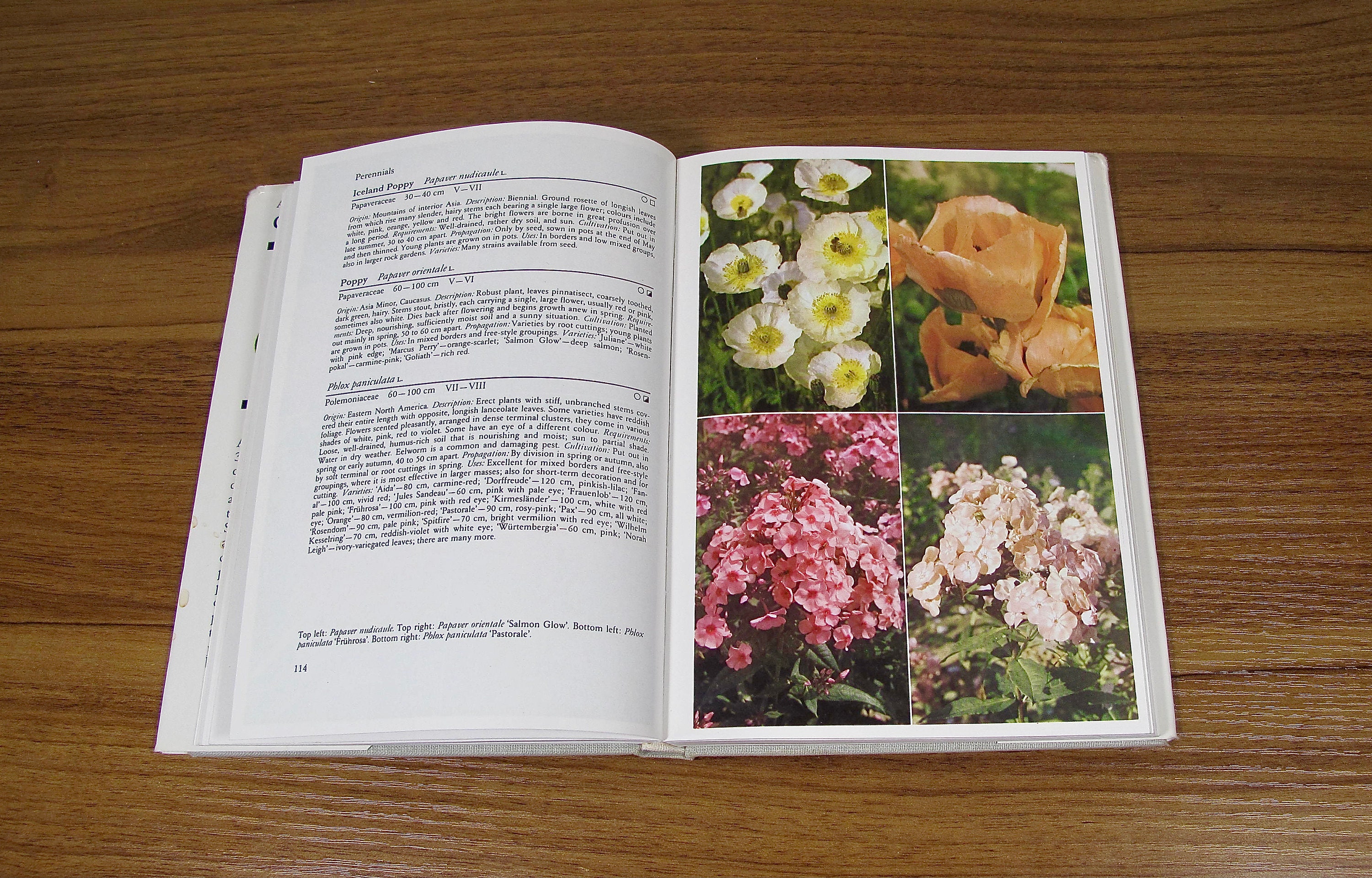 Vintage Field Guide in Colour to Garden Plants Book Boho Old - Etsy