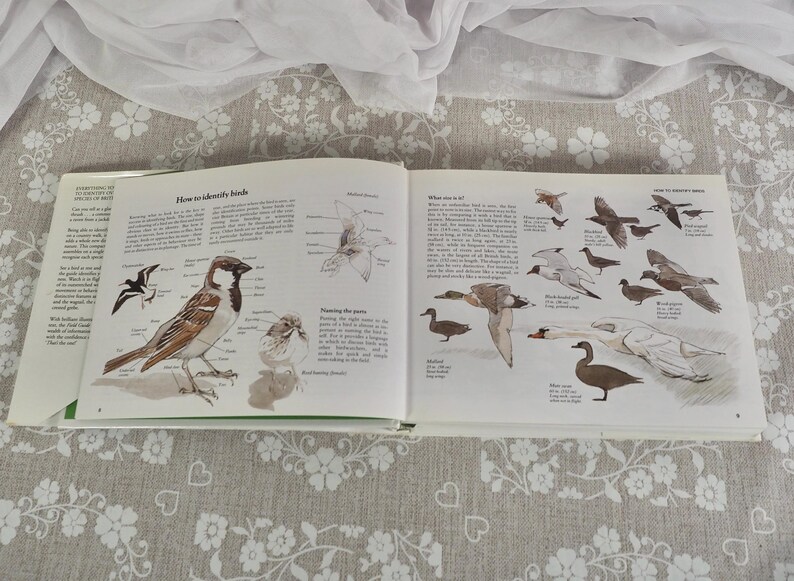Vintage Readers Digest Field Guide to the Birds of Britain Book - Etsy