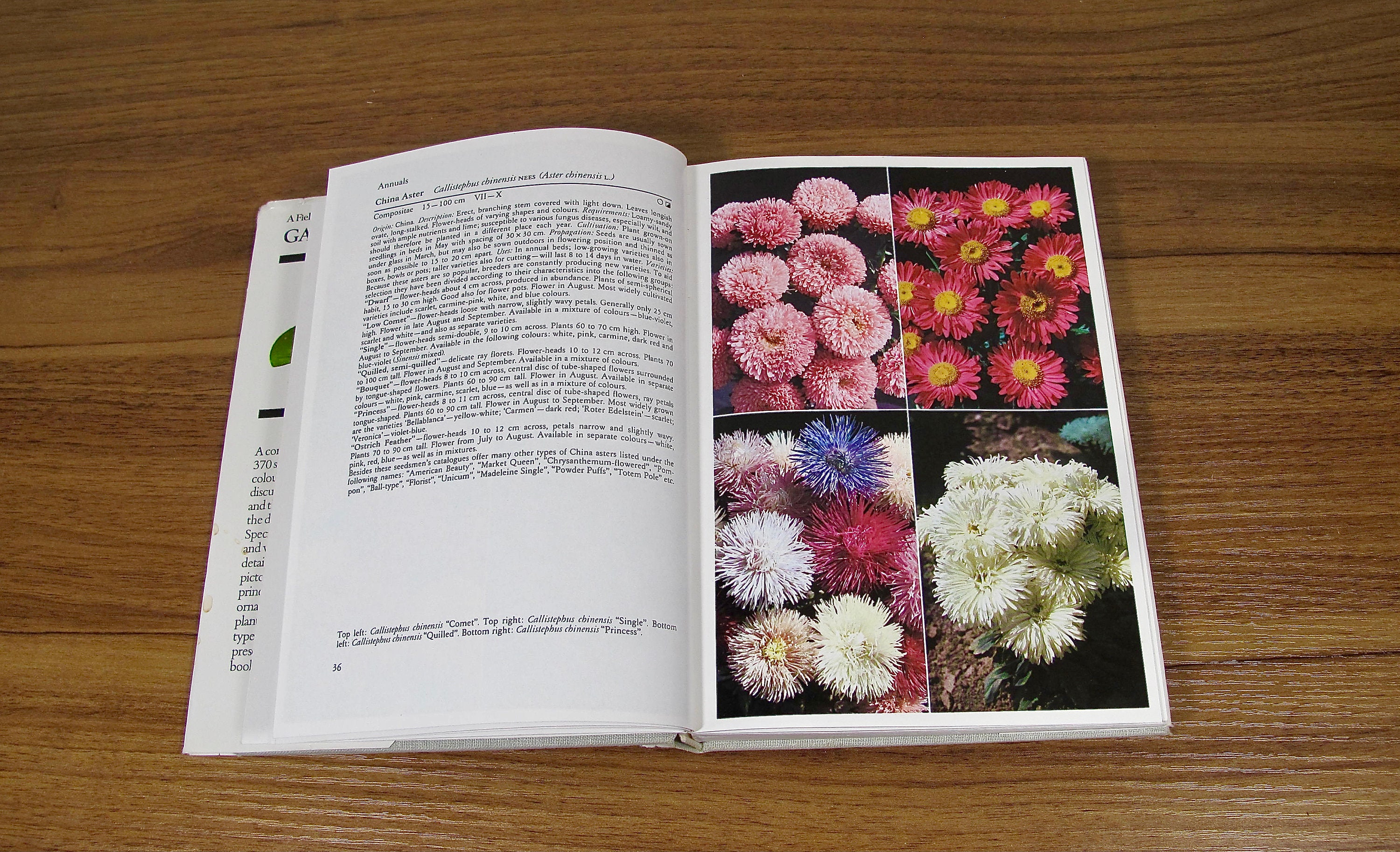 Vintage Field Guide in Colour to Garden Plants Book Boho Old - Etsy