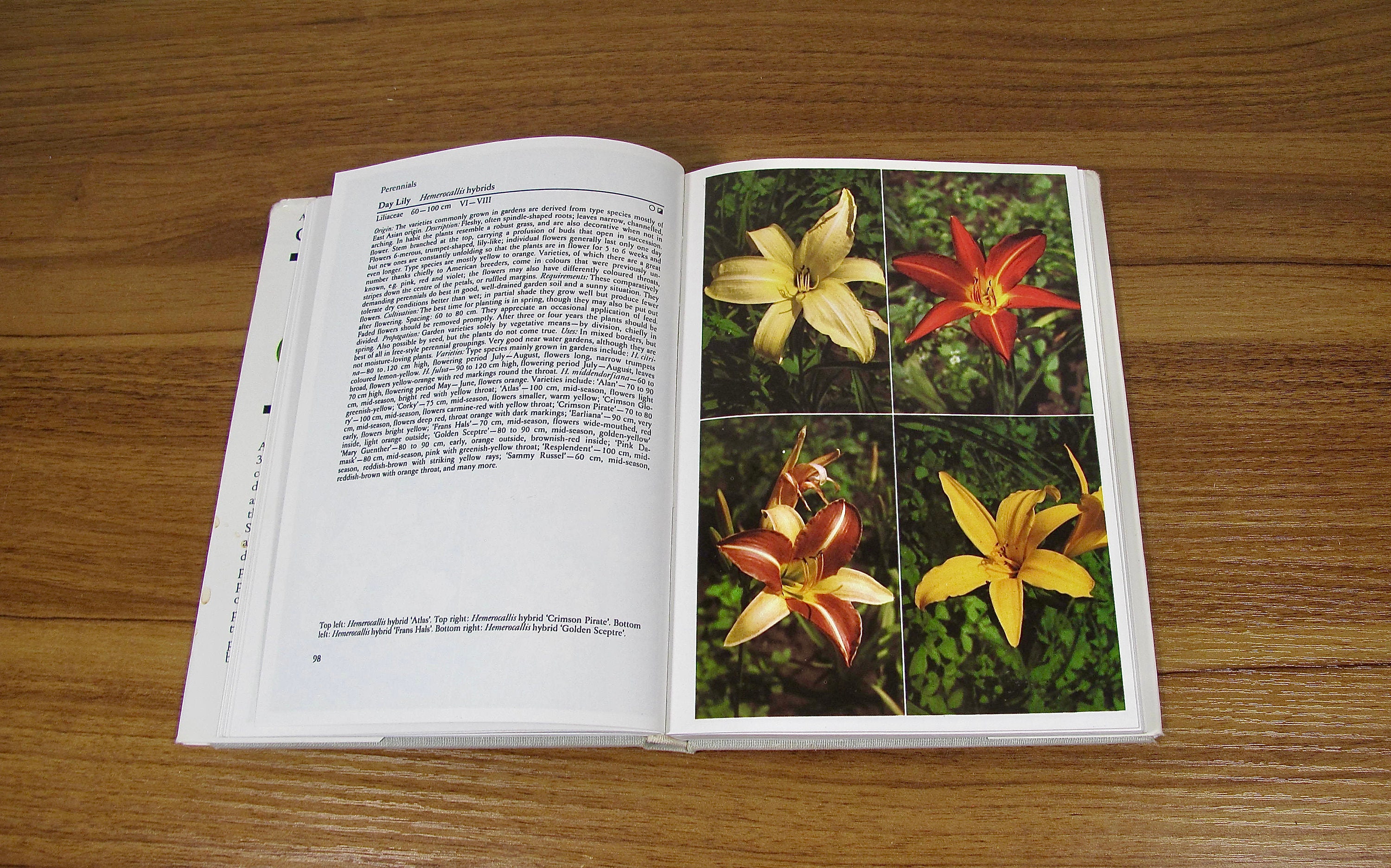Vintage Field Guide in Colour to Garden Plants Book Boho Old - Etsy