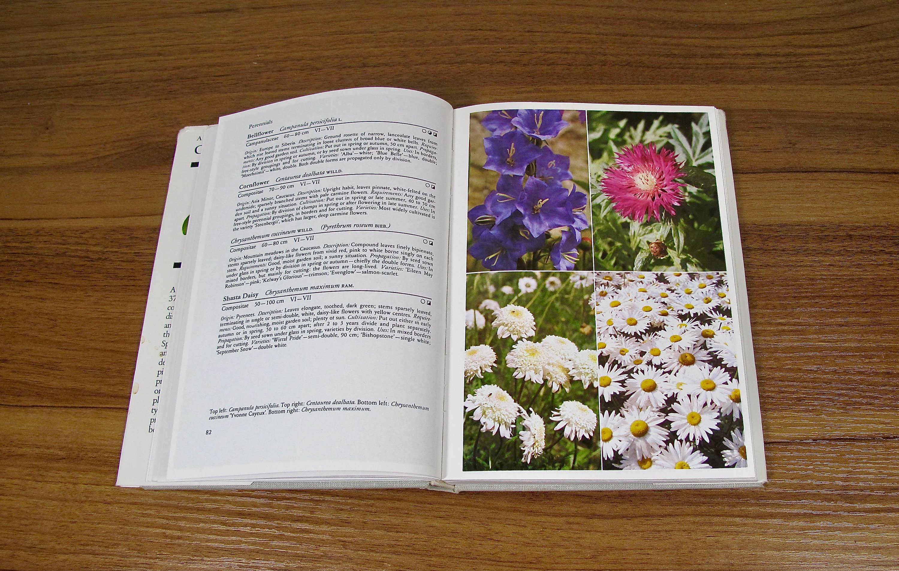 Vintage Field Guide in Colour to Garden Plants Book Boho Old - Etsy