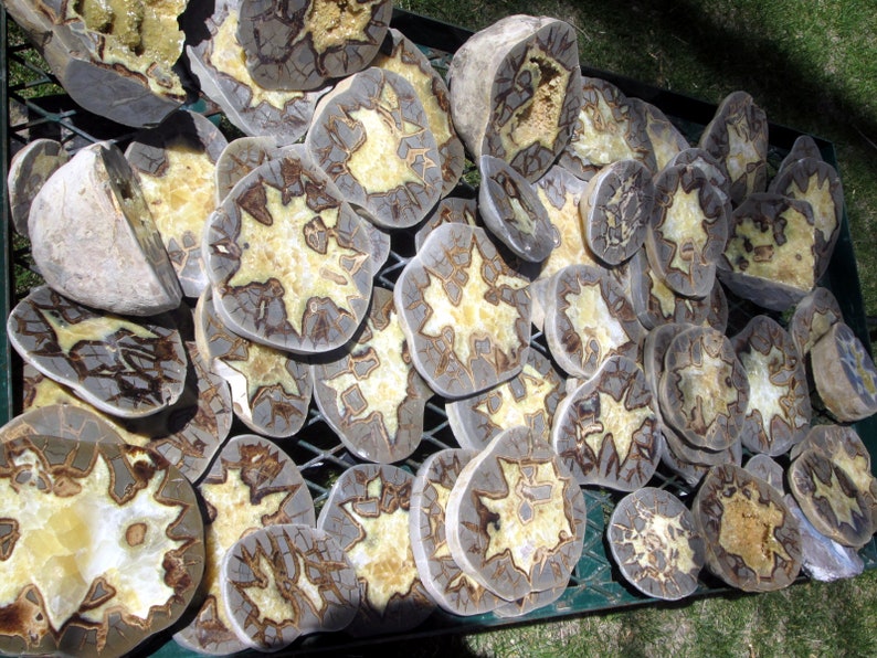 Mystery Rock & Mineral Box Random Rocks Minerals Some Raw Some - Etsy