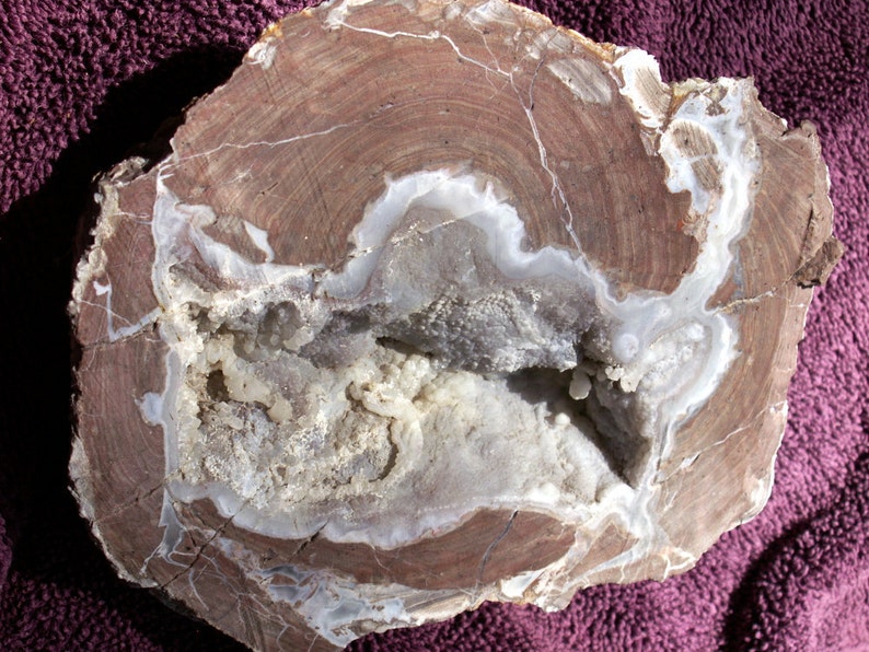 Utah Geode Half Cut Un Polished Thunder Egg Stone Quartz Agate | Etsy