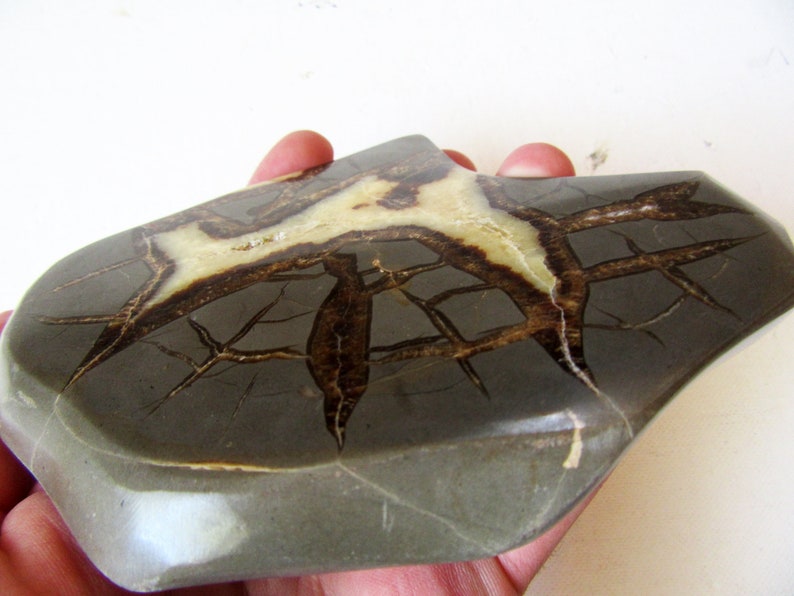 Utah Septarian Nodule Slab odd shape Geode Nodule Calcite | Etsy