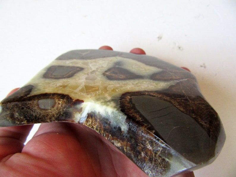 Utah Septarian Nodule Slab odd shape Geode Nodule Calcite | Etsy