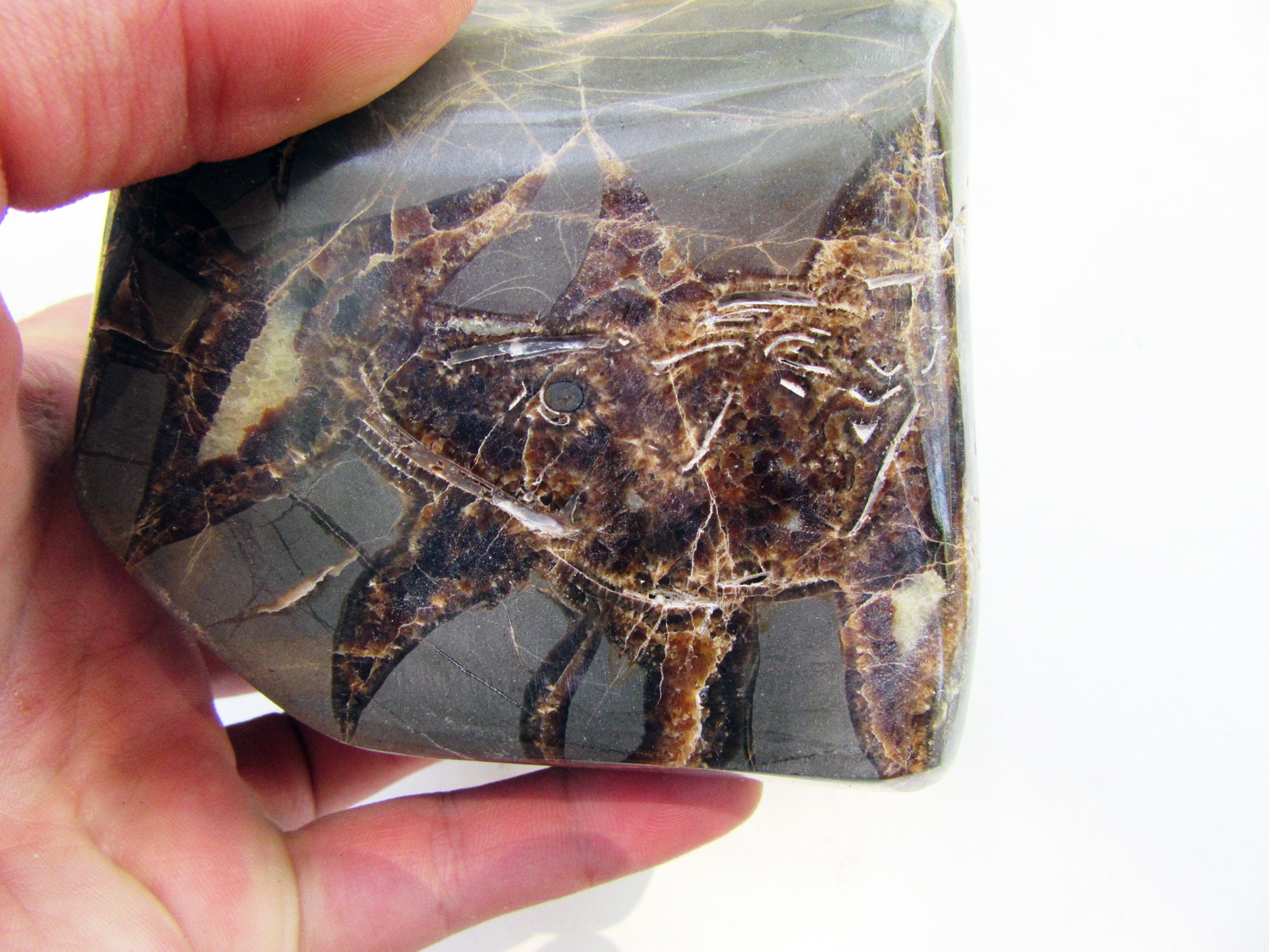 Septarian Nodule Geode Chunk Block Calcite Aragonite Utah - Etsy