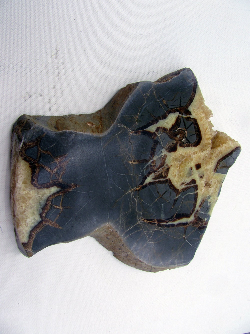Septarian Nodule Slab End Chunk Geode Nodule Aragonite Utah - Etsy