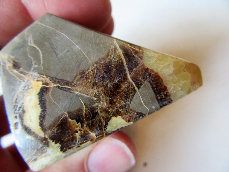 Septarian Nodule Chunk Geode Nodule Calcite Crystals - Etsy