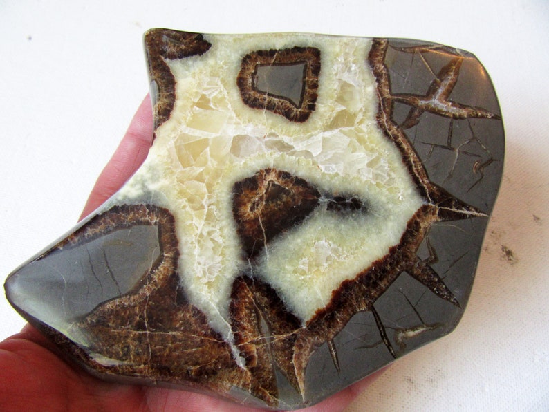 Utah Septarian Nodule Slab odd shape Geode Nodule Calcite | Etsy