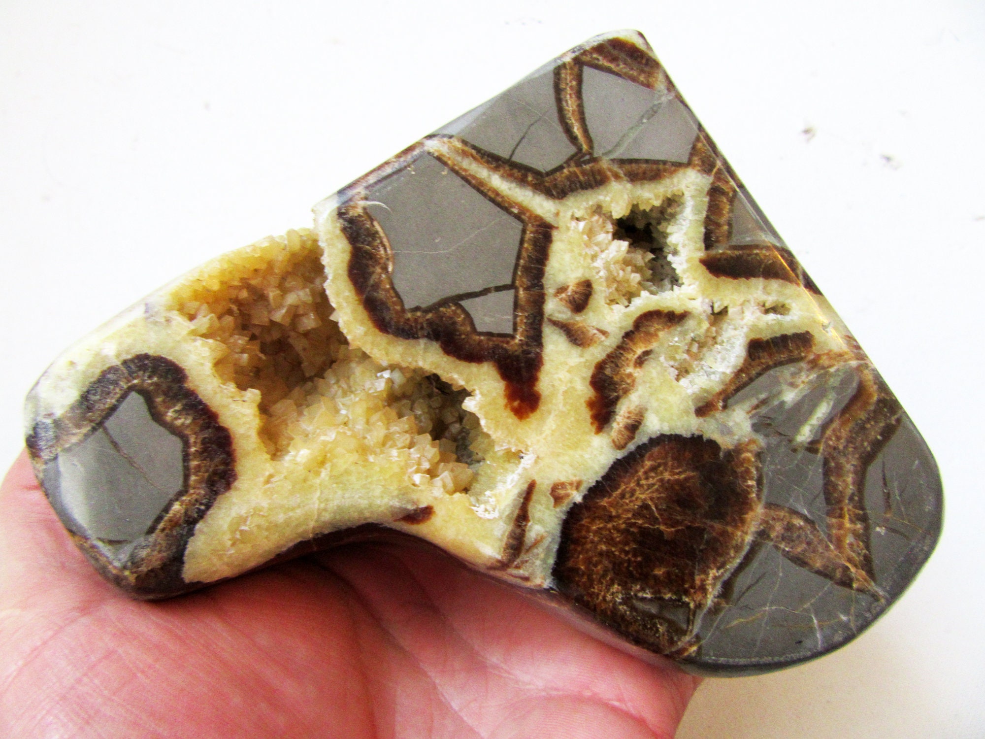 Septarian Nodule Geode Aragonite Utah Dragon Stone - Etsy