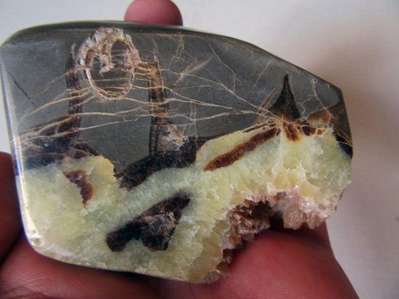Septarian Nodule Chunk Geode Nodule Calcite Crystals - Etsy