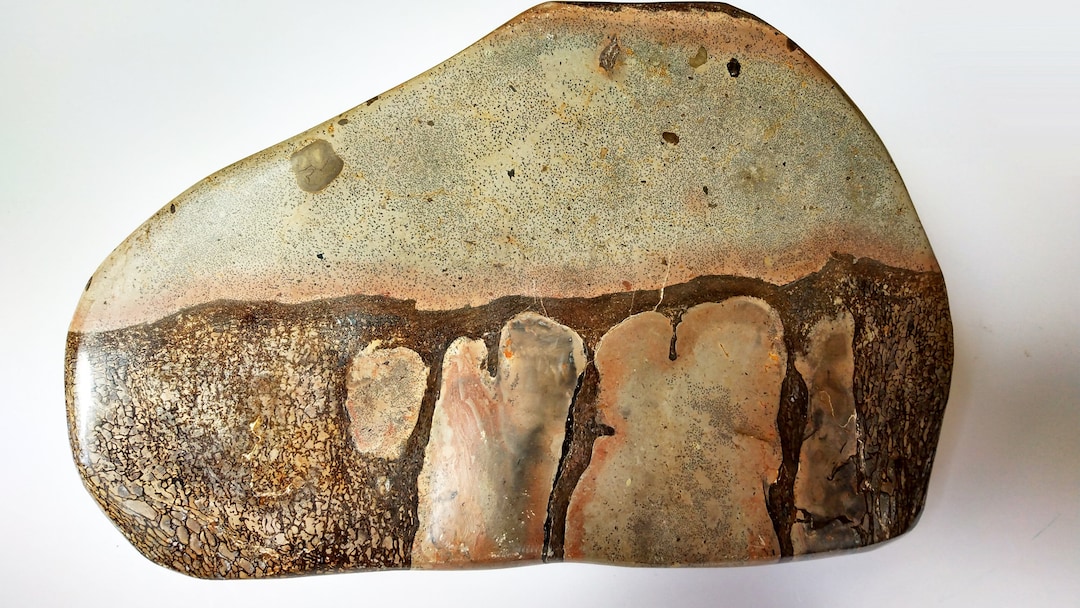 Dinosaur Bone Chunk, Showing Cell Structure, Gem Dino Bone Unique - Etsy