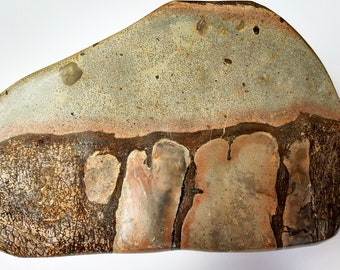 Gem Dinosaur Bone Slab - Etsy
