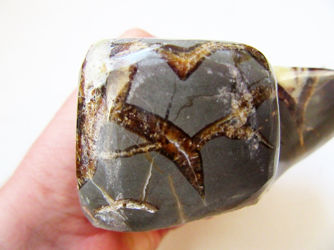 Septarian Nodule Geode Aragonite Utah Dragon Stone - Etsy