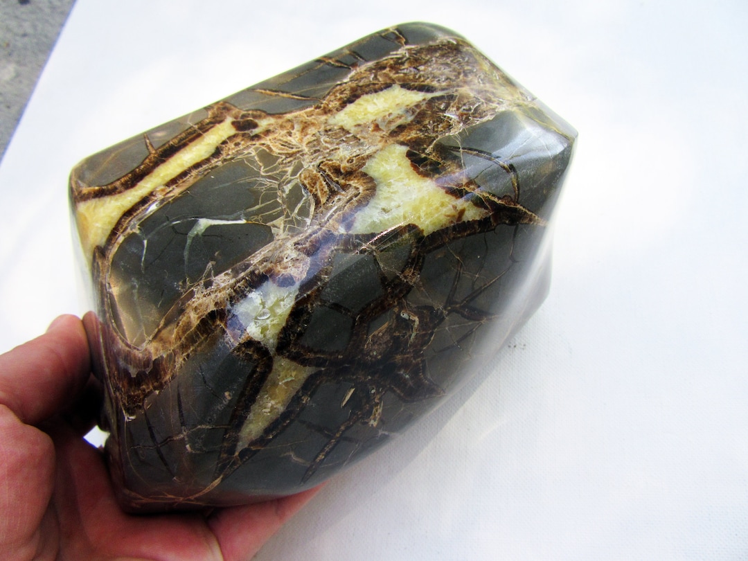 Septarian Nodule Geode Chunk Block, Calcite, Aragonite, Utah Dragon ...