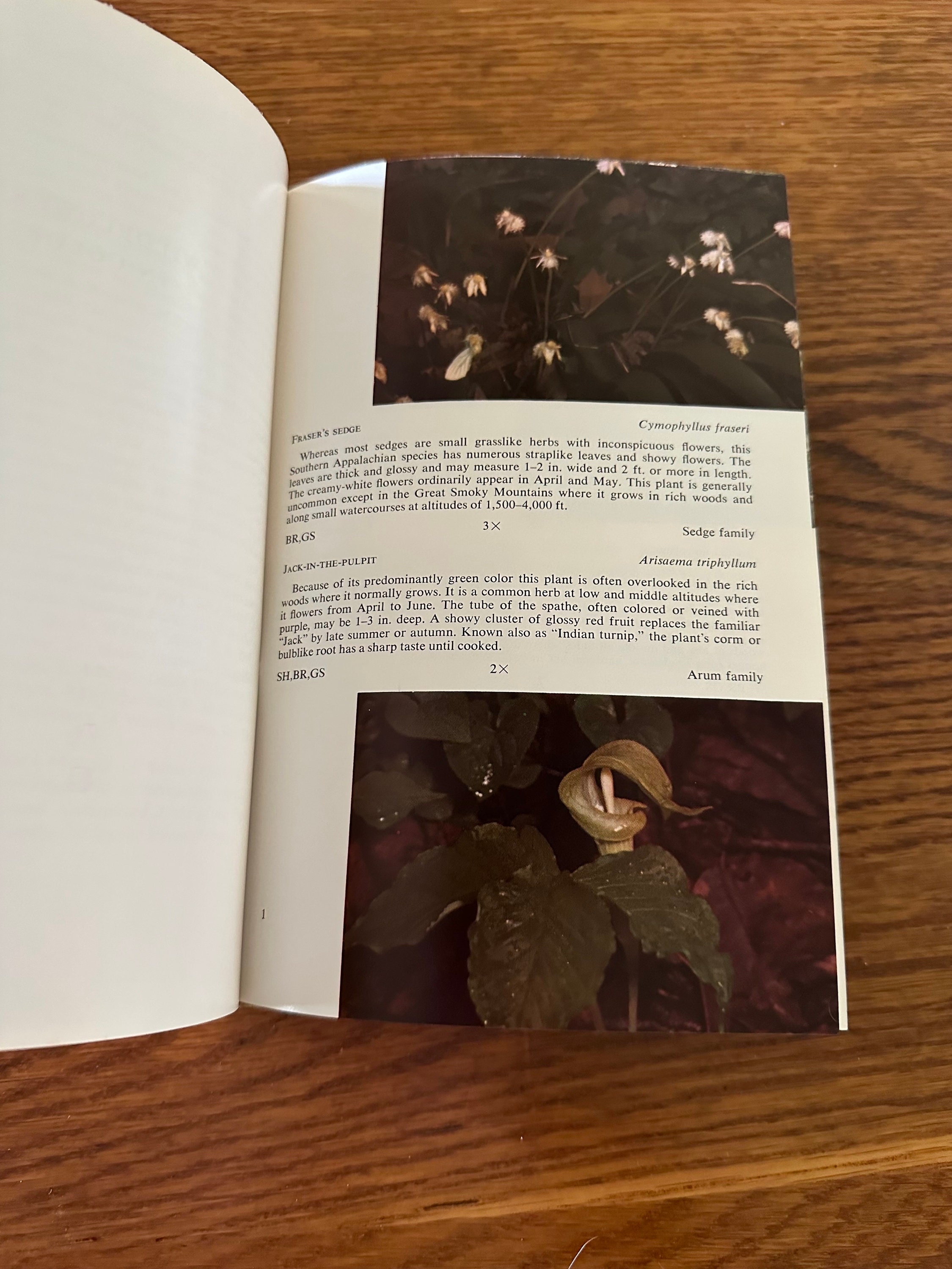 1965 Wildflowers in Color by Arthur Stupka First Edition - Etsy Canada