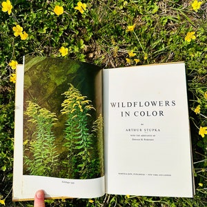 1965 Wildflowers in Color by Arthur Stupka First Edition - Etsy