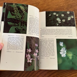 1965 Wildflowers in Color by Arthur Stupka First Edition - Etsy