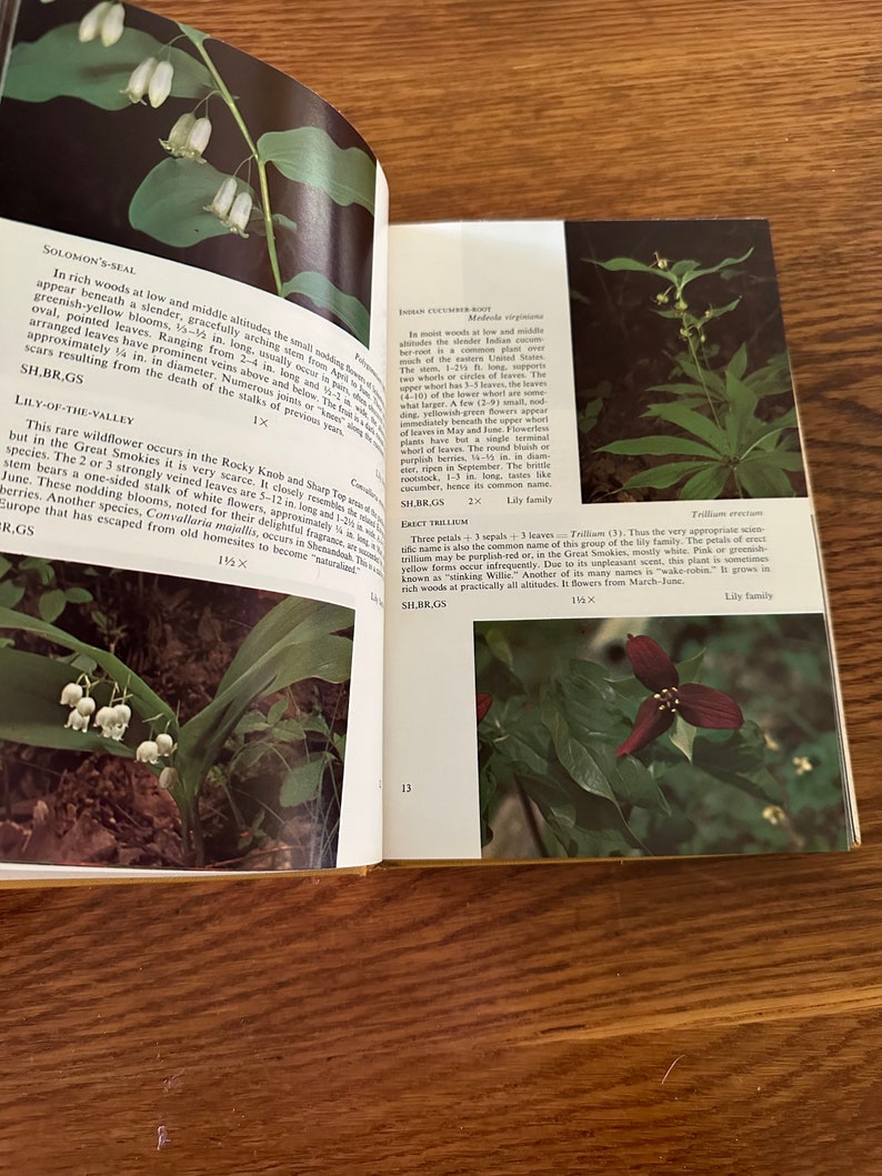 1965 Wildflowers in Color by Arthur Stupka First Edition - Etsy