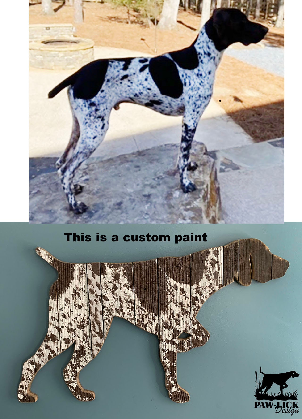 Brown Spotted German Shorthaired Pointer