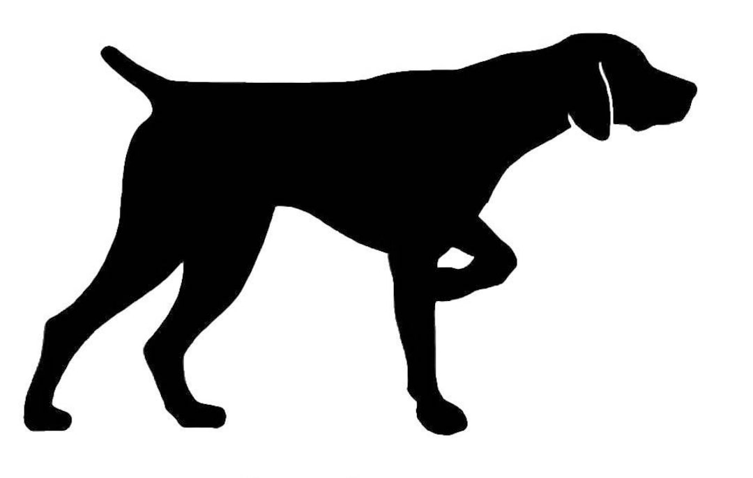 GSP Vinyl Bumper Stickers (we Have Other Colors to Choose From) *** IN ...