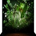 Rain Forest Backdrop - Tarzan Backdrop - Jungle Backdrop - Rain ...
