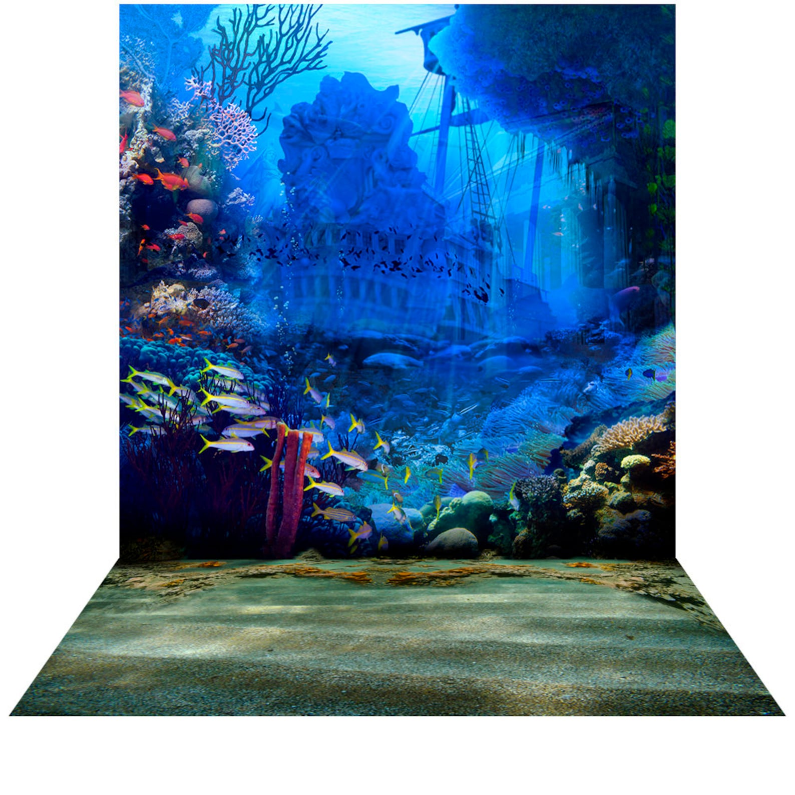 Shipwreck Backdrop, Under the Sea, Treasure Chest, Ocean Photo ...