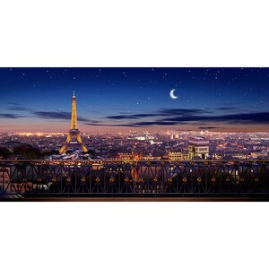 Eiffel Tower Paris Backdrop: Prom Photo Booth, French Decor - Etsy
