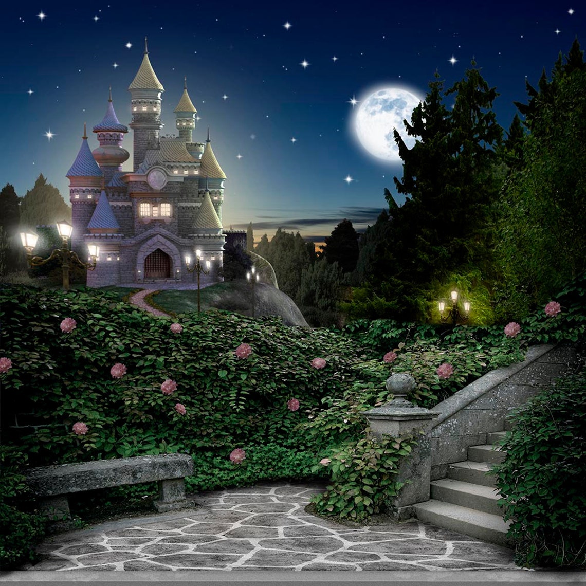 Castle in Magic Kingdom Backdrop With Terrace Full Moon Prom - Etsy