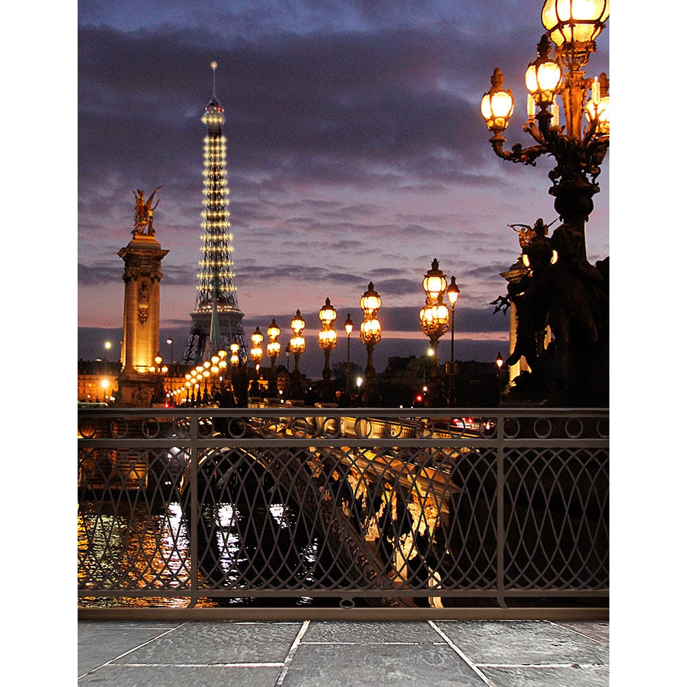 Paris Eiffel Tower Photo Backdrop, Party Photography Booth - Etsy