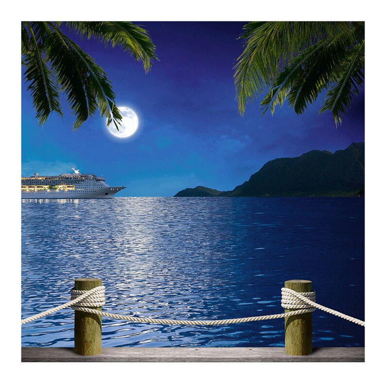 Wedding Cruise Engagement Photo Backdrop Love Boat Wedding - Etsy