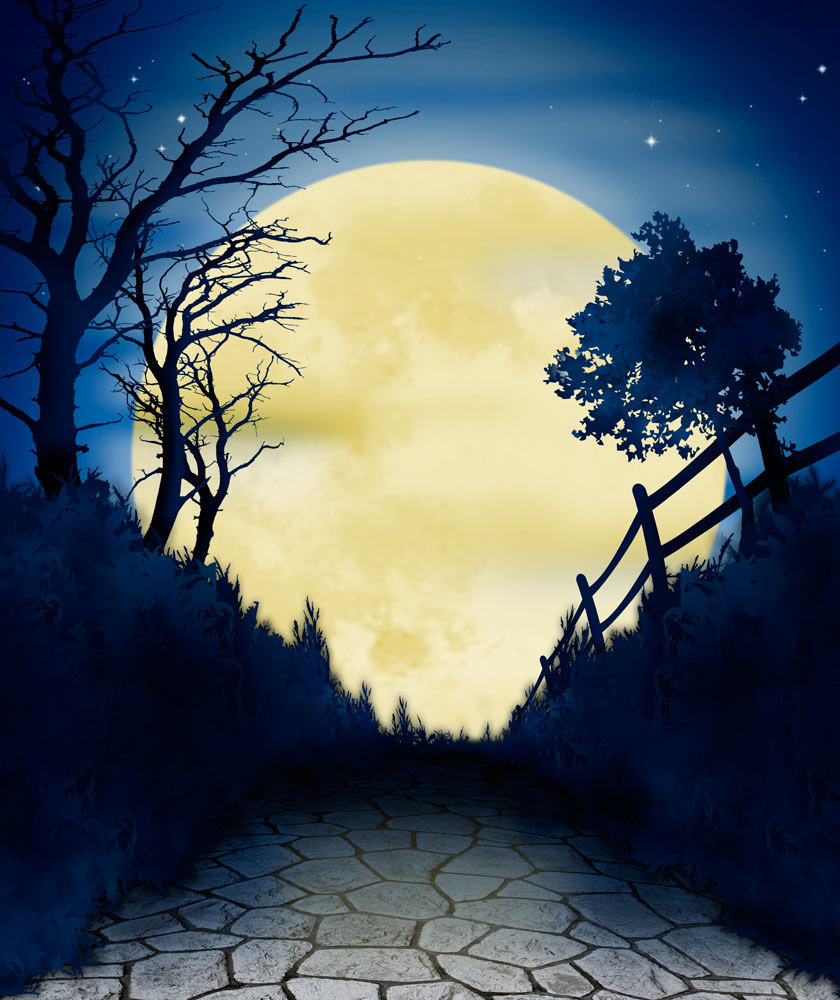 Halloween Moon Hocus Pocus Backdrop Witch Moon Full Moon - Etsy