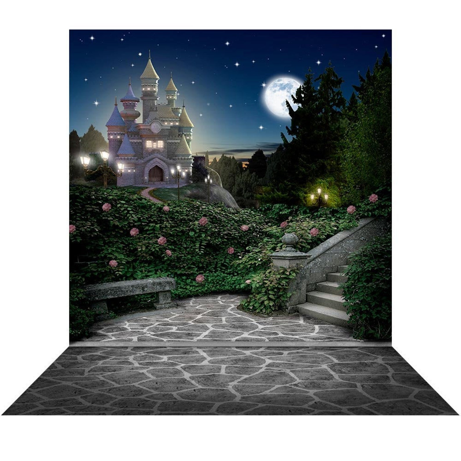 Castle in Magic Kingdom Backdrop with Terrace Full Moon Prom | Etsy