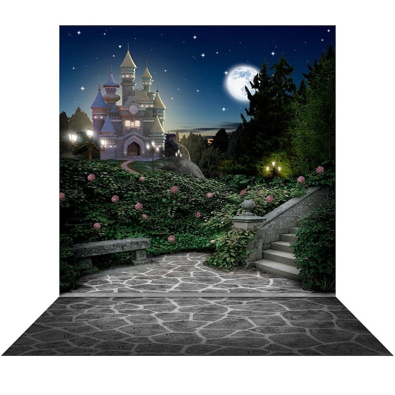 Castle in Magic Kingdom Backdrop With Terrace Full Moon Prom - Etsy