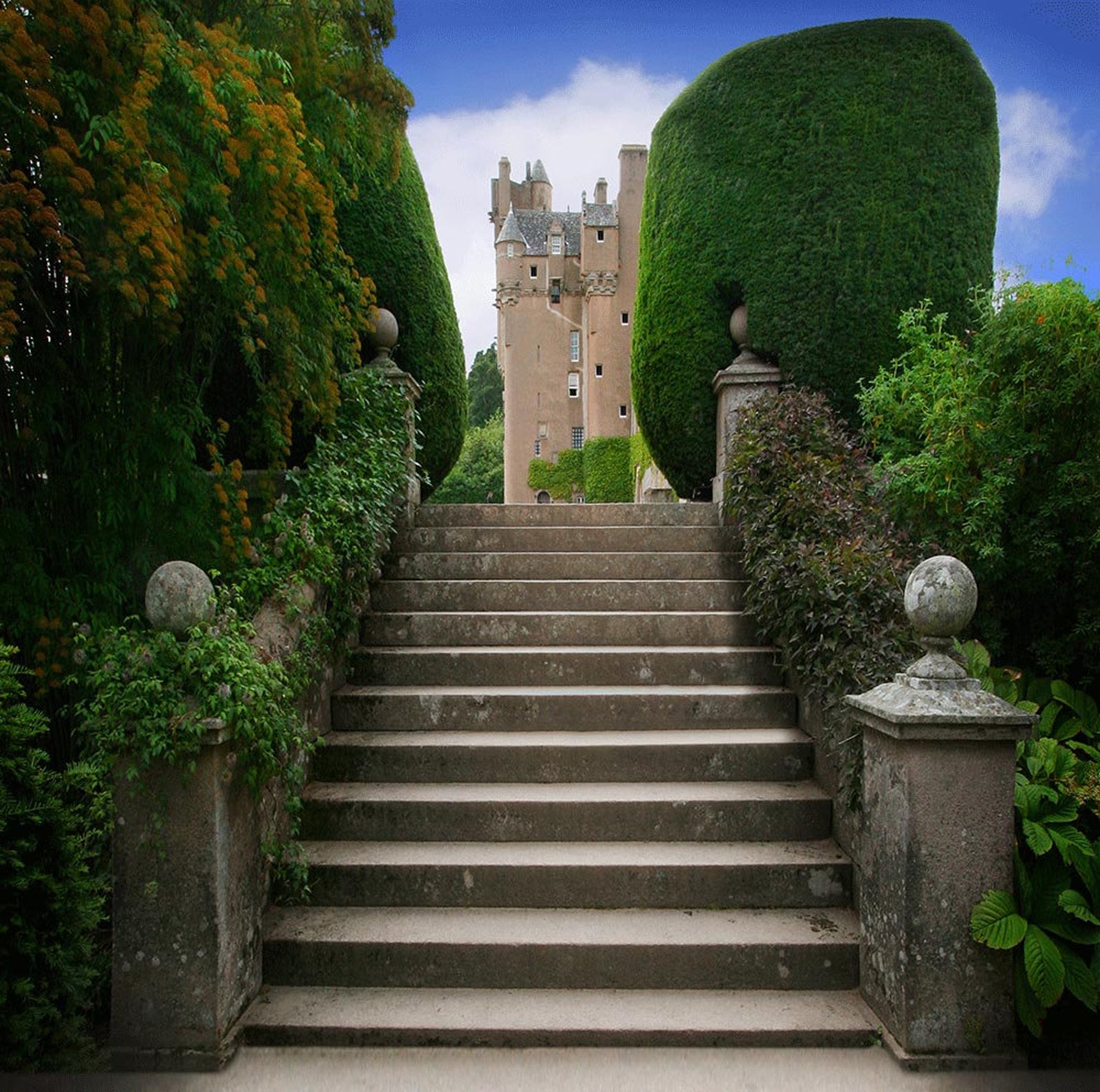 Castle Steps Cinderella Backdrop Prince in King's Court - Etsy