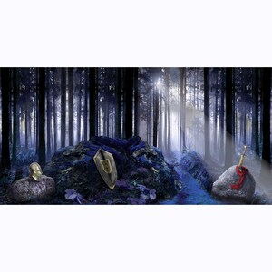 Sword in the Stone, King Arthur Backdrop, an Enchanted Forest for ...