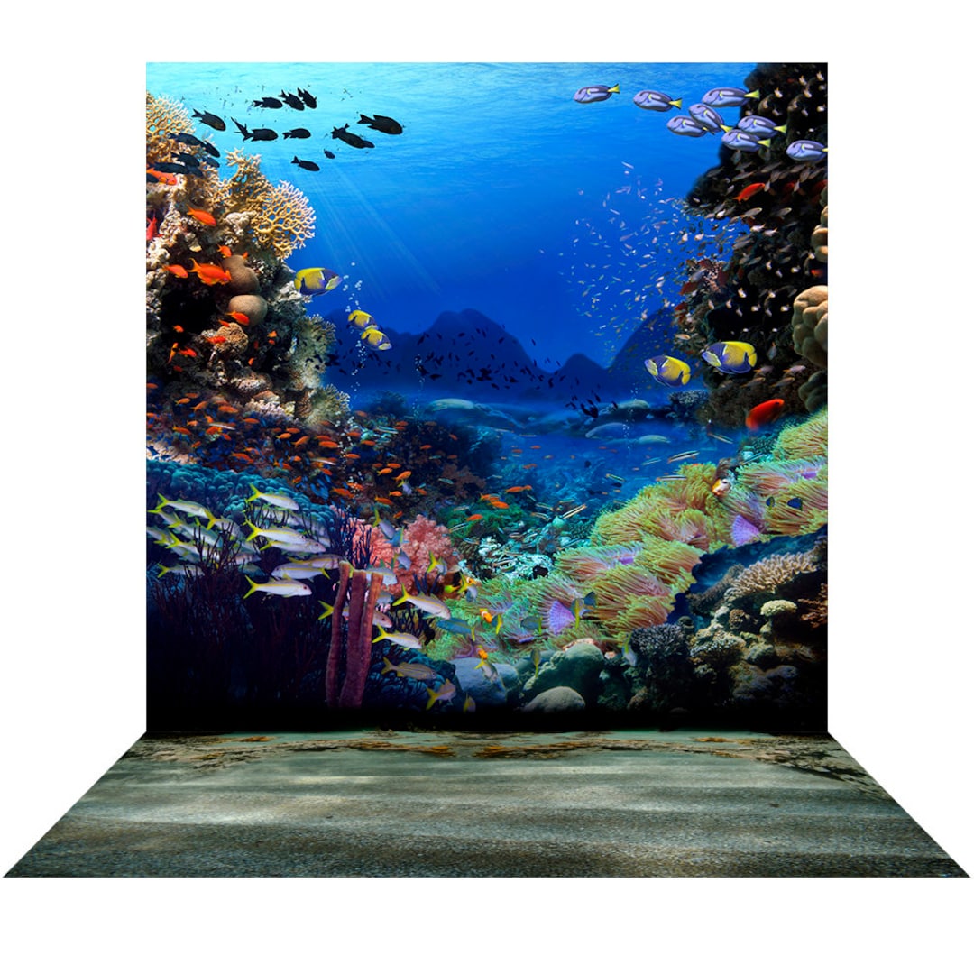 Coral Reef - Under the Sea - Mermaid Backdrop - Scuba - Snorkel - Party ...