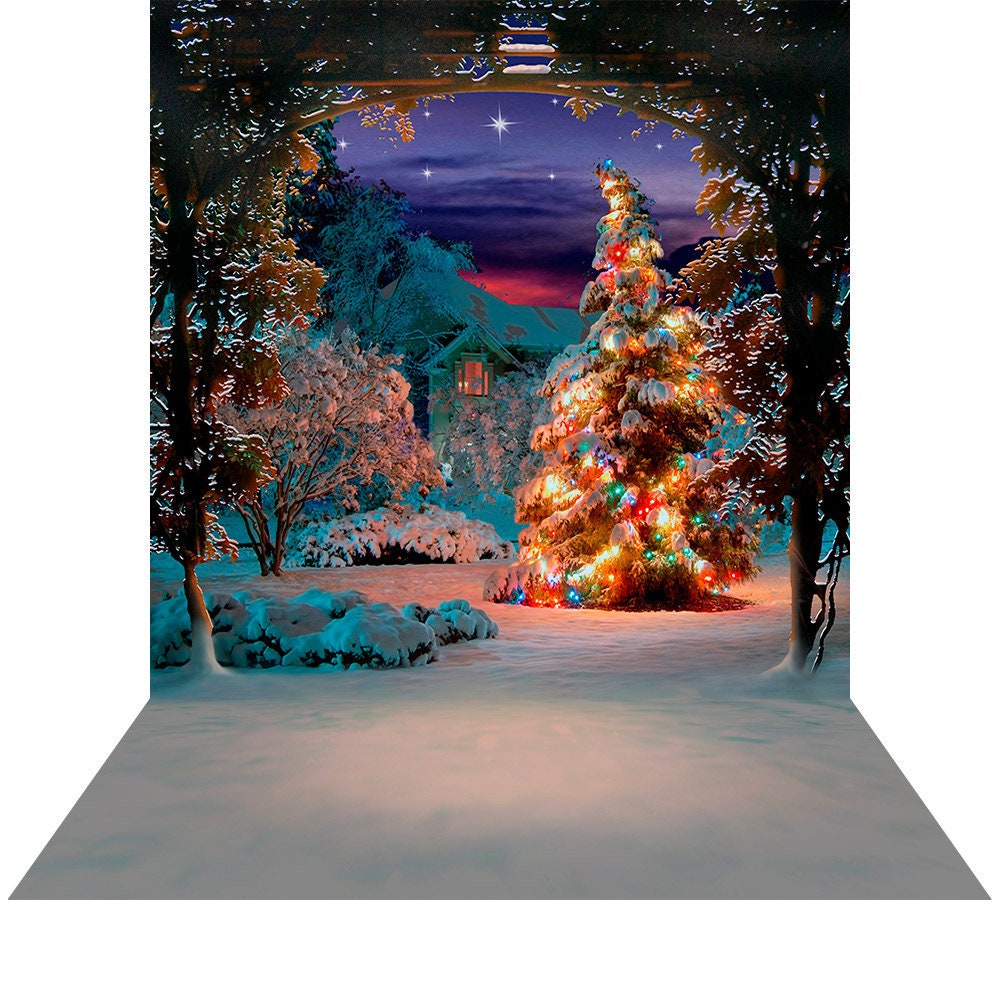 Christmas Eve Scene Backdrop, Santa, Winter Night Photo Booth - Etsy