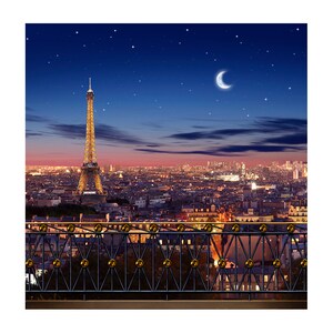 Eiffel Tower Paris Backdrop: Prom Photo Booth, French Decor - Etsy