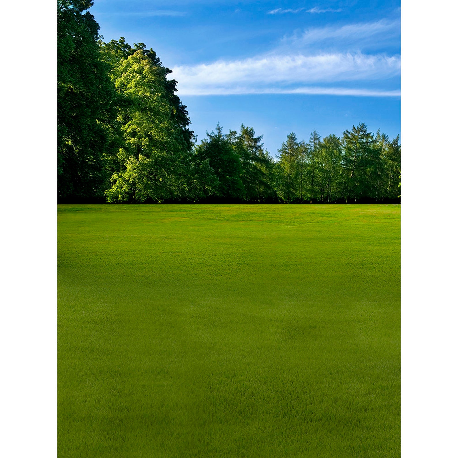 Sports Park Photography Backdrop, Grass Field, Outdoor Portrait - Etsy
