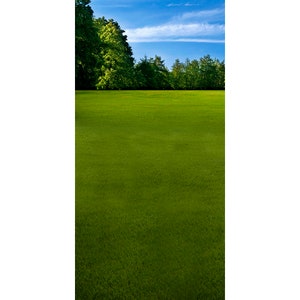 Sports Park Backdrop, Generic Field Backdrop, Municipal Park, Outdoor ...