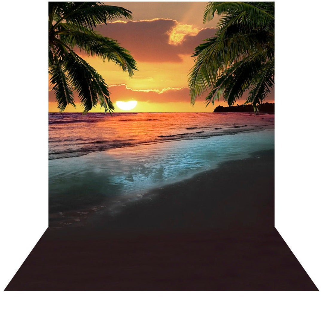 Tropical Beach Backdrop, Photo Booth, Palm Trees, Sunset Backdrop ...