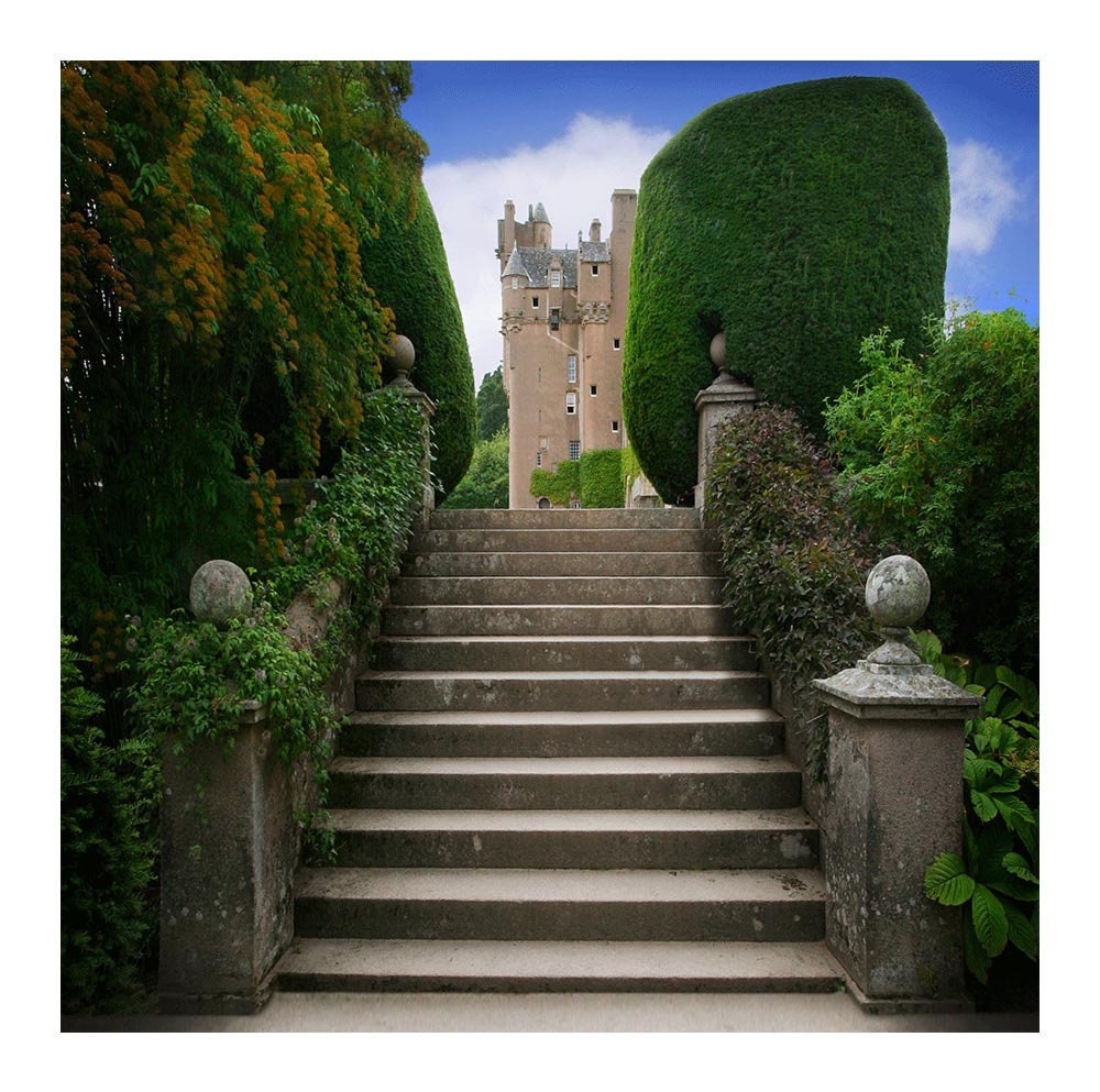 Castle Steps Cinderella Backdrop Prince in King's Court - Etsy