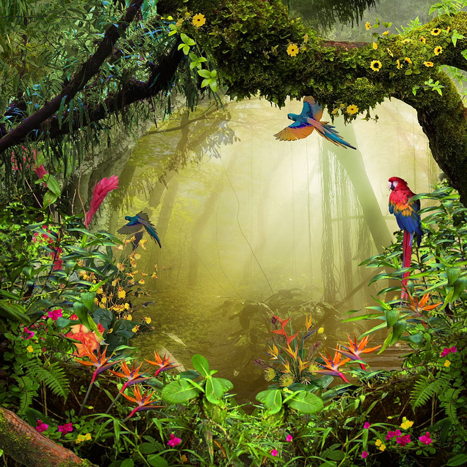 Jungle Backdrop Birthday Backdrop Photo Booth Prop Birthday - Etsy