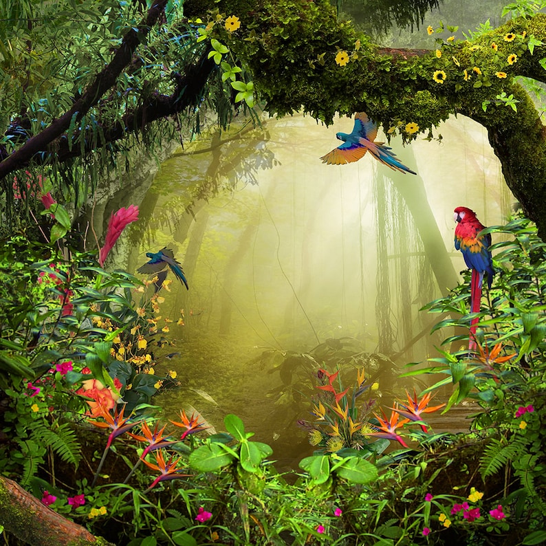 Jungle Backdrop Birthday Backdrop Photo Booth Prop Birthday - Etsy